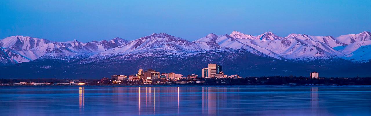 2023 Alaska Birding & Wildlife Tour - Anchorage, Nome, Barrow, Seward ...