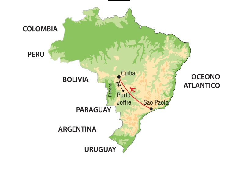 Brazil's Pantanal Guided Wildlife Safari & Birding Tours | Naturalist ...