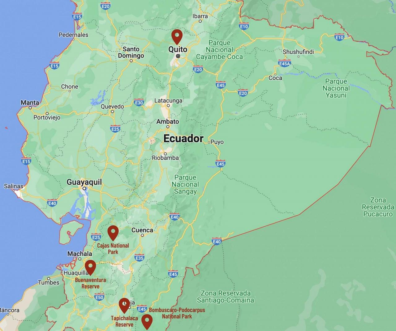 Ecuador Birding Tour - 2023 Birdwatching & Wildlife Nature Tours ...