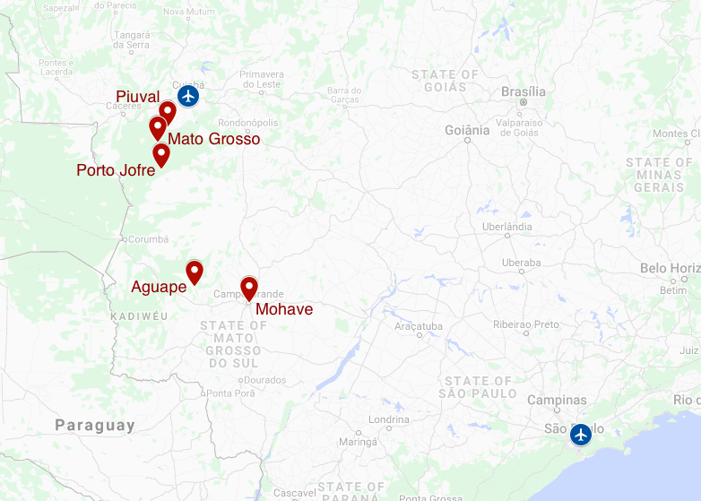 Brazil's Pantanal: Jaguars Guided Wildlife Safari & Birding Tours July ...